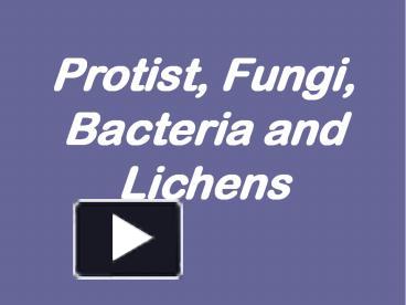 Protist, Fungi, Bacteria and Lichens presentation | free to download