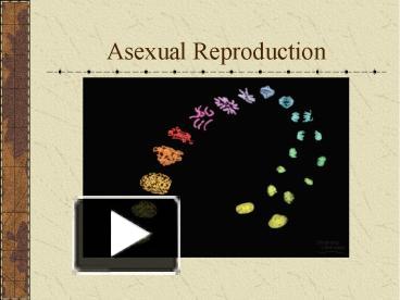 Asexual Reproduction presentation | free to download