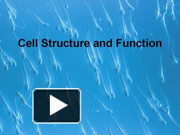 Cell Structure and Function presentation | free to download