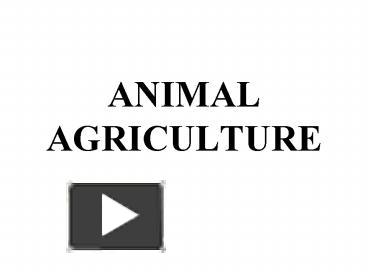 ANIMAL AGRICULTURE presentation | free to view