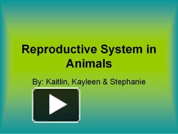 Reproductive System in Animals presentation | free to download