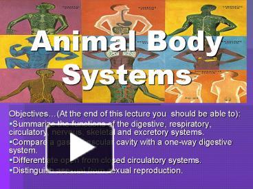 Animal Body Systems presentation | free to download