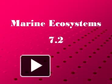 PPT – Marine Ecosystems PowerPoint presentation | free to download - id ...
