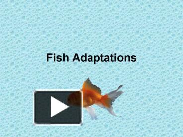 Fish Adaptations presentation | free to view