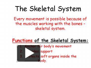 PPT – The Skeletal System PowerPoint presentation | free to download ...