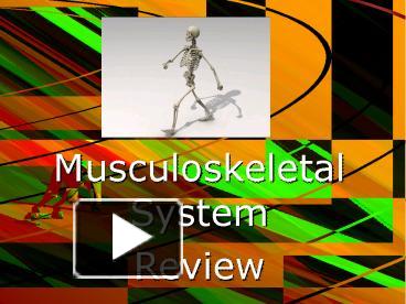 Musculoskeletal System presentation | free to download