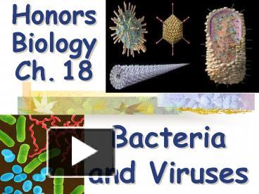 PPT – Bacteria and Viruses PowerPoint presentation | free to view - id ...