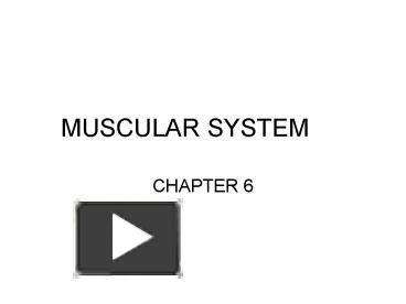MUSCULAR SYSTEM presentation | free to download