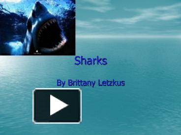 PPT – Sharks PowerPoint presentation | free to view - id: 6917e-ZDc1Z