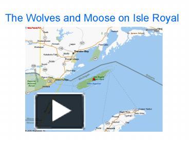 The Wolves and Moose on Isle Royal presentation | free to view