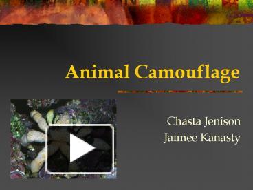 Animal Camouflage presentation | free to view