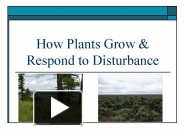 PPT – How Plants Grow PowerPoint presentation | free to download - id ...