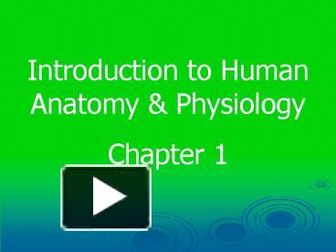 Introduction to Human Anatomy presentation | free to download