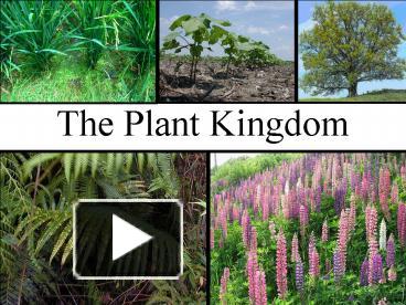 The Plant Kingdom presentation | free to view