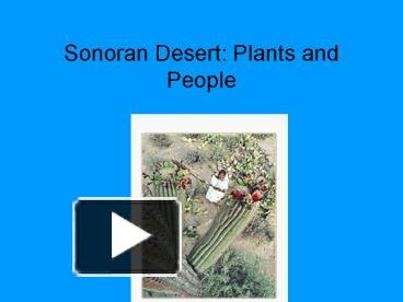 Sonoran Desert: Plants and People presentation | free to view
