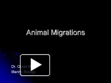 Animal Migrations presentation | free to view