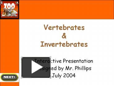 Vertebrates presentation | free to download