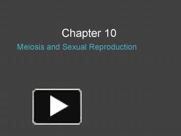 PPT – Meiosis and Sexual Reproduction PowerPoint presentation | free to ...