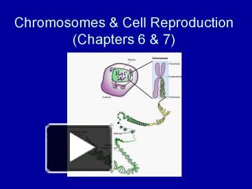PPT – Chromosomes PowerPoint presentation | free to view - id: 6a6704-NjUxY