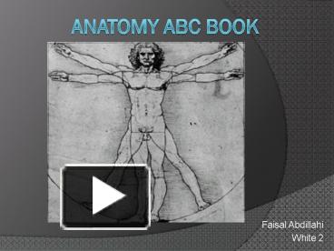PPT – Anatomy ABC Book PowerPoint presentation | free to download - id ...
