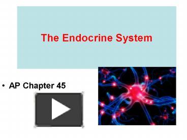 The Endocrine System presentation | free to view