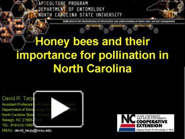 Honey bees and their importance for pollination in North Carolina presentation | free to view