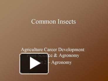 PPT – Common Insects PowerPoint presentation | free to view - id: 6c232 ...