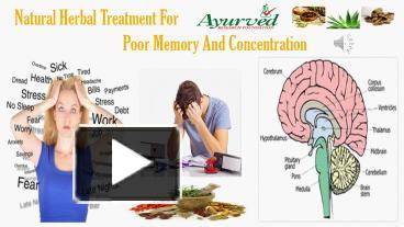 PPT – Natural Herbal Treatment For Poor Memory And Concentration PowerPoint presentation | free ...