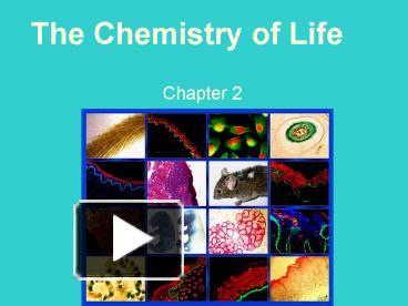 The Chemistry of Life presentation | free to download