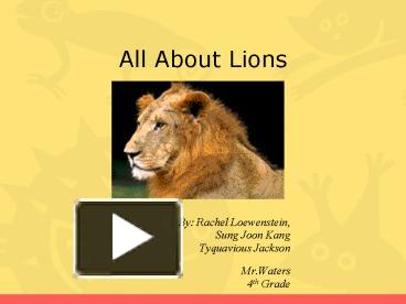 All About Lions presentation | free to view