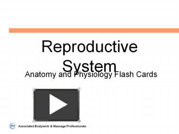 Reproductive System presentation | free to download