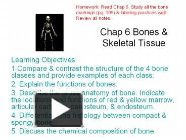 PPT – Chap 6 Bones PowerPoint presentation | free to download - id ...