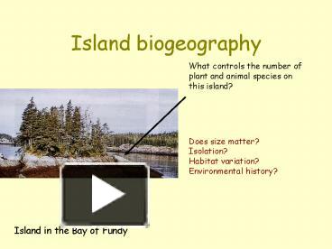 PPT – Island biogeography PowerPoint presentation | free to download ...