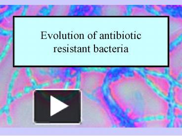 Evolution of antibiotic resistant bacteria presentation | free to view