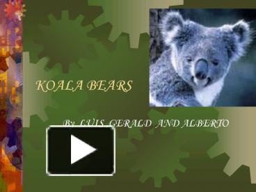 KOALA BEARS presentation | free to view