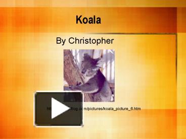 Koala presentation | free to view