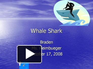 Whale Shark presentation | free to view