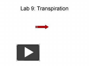 PPT – Lab 9: Transpiration PowerPoint presentation | free to download - id: 6dd00e-ZTk2Y