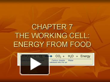 CHAPTER 7 THE WORKING CELL: ENERGY FROM FOOD presentation | free to view