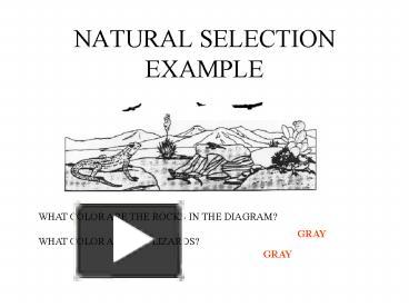NATURAL SELECTION EXAMPLE presentation | free to view