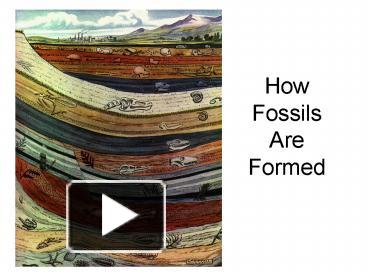 How Fossils Are Formed presentation | free to view