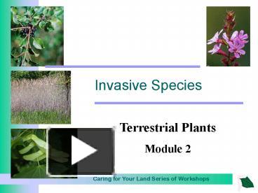 PPT – Invasive Species PowerPoint presentation | free to view - id ...