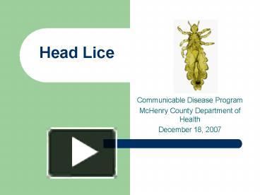 PPT – Head Lice PowerPoint presentation | free to view - id: 6e494-ZDc1Z