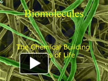Biomolecules presentation | free to view