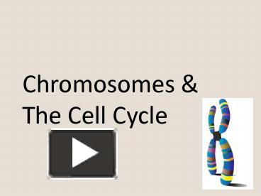 Chromosomes presentation | free to view