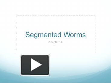 PPT – Segmented Worms PowerPoint presentation | free to download - id ...