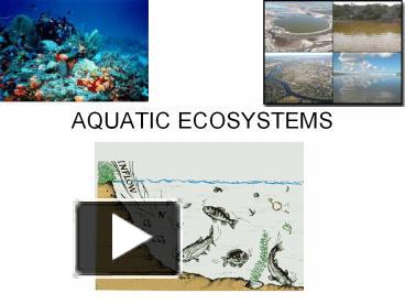 AQUATIC ECOSYSTEMS presentation | free to download