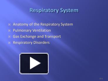 Respiratory System presentation | free to view