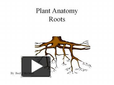 Plant Anatomy Roots presentation | free to view
