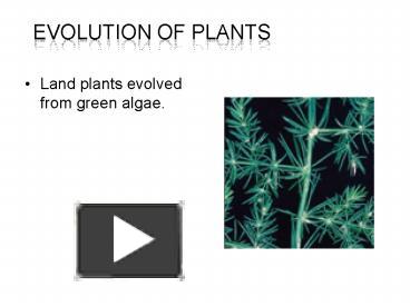PPT – Evolution of Plants PowerPoint presentation | free to view - id ...